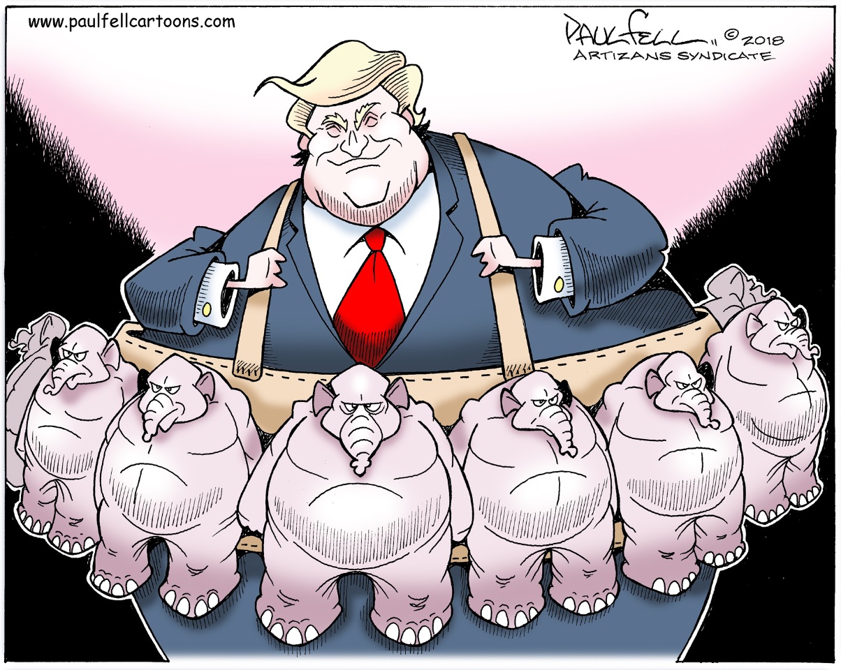 Paul Fell Cartoons | CapNewsToons2018